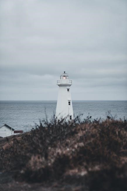 Army Ground Guide Signals: Decoded! Your visual guide to clear signals